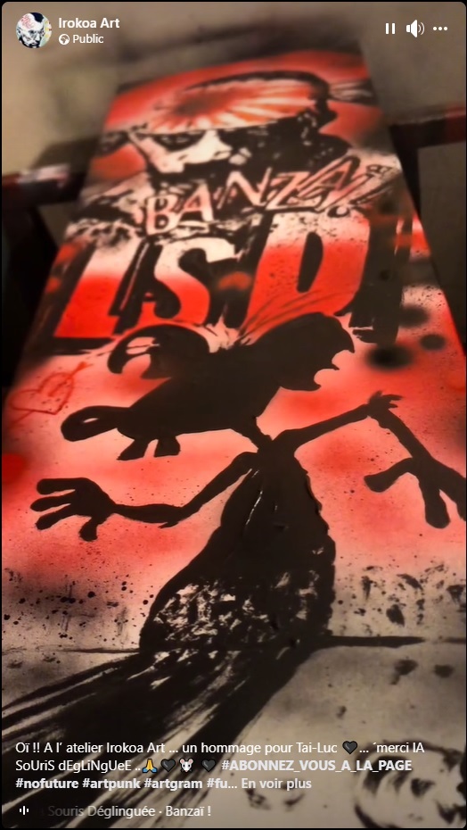 A l’échelle cosmique… mon hommage à Tai-Luc – FanXoa